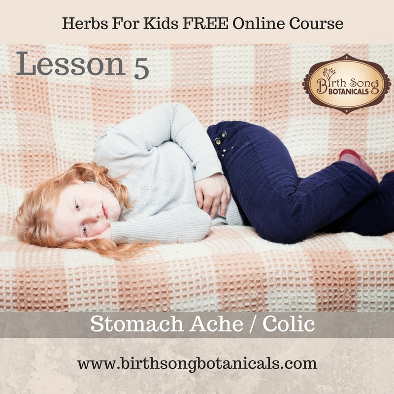 LESSON 5- Stomach Ache / Colic– Birth Song Botanicals Co.