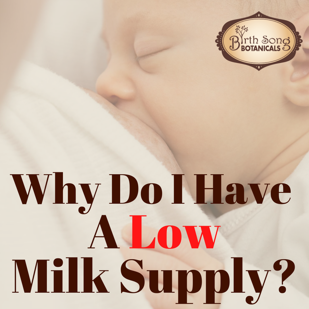 Why Do I Have a Low Milk Supply?– Birth Song Botanicals Co.