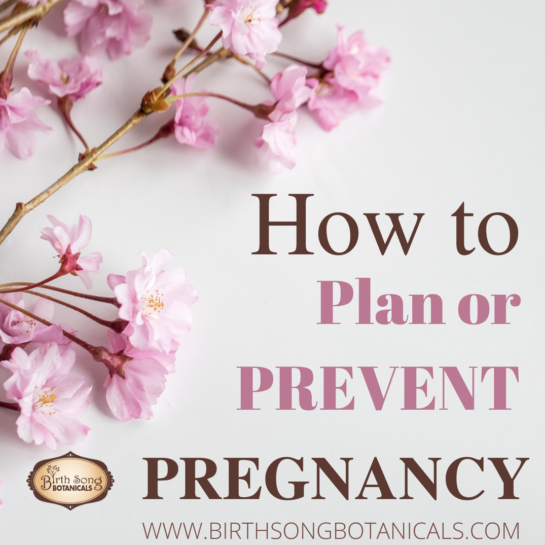 How to Plan or Prevent Pregnancy– Birth Song Botanicals Co.