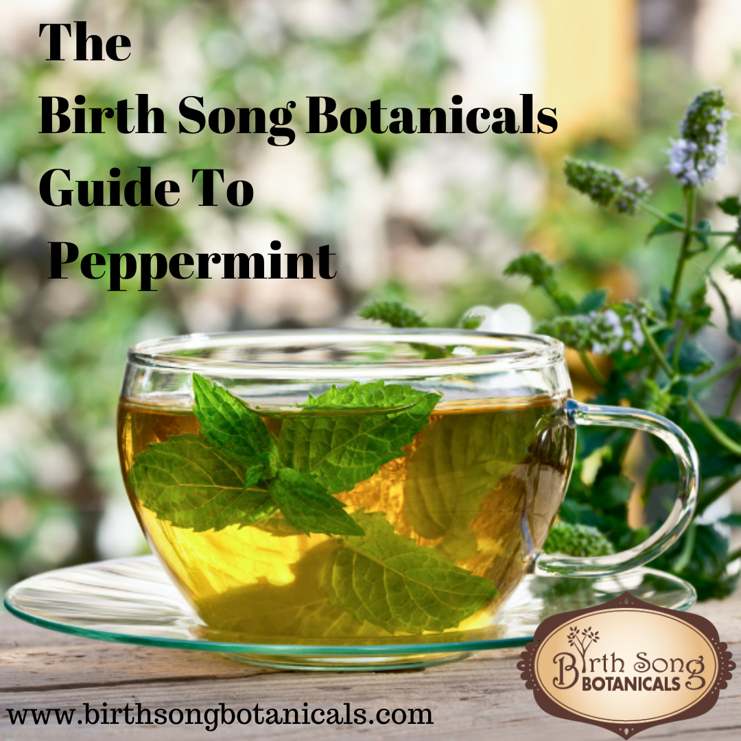 The Birth Song Botanicals' Guide to Peppermint– Birth Song Botanicals Co.