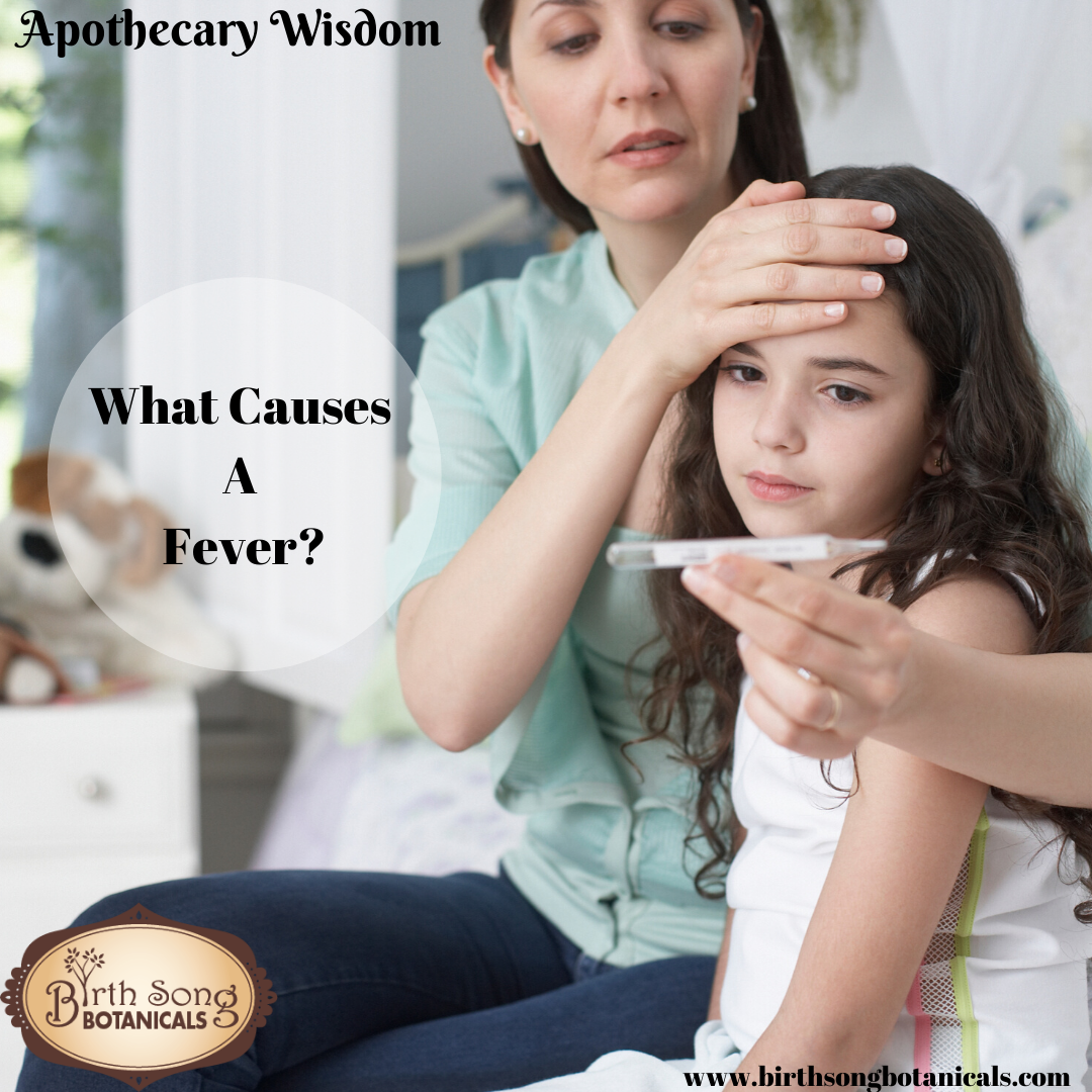 What Causes A Fever?– Birth Song Botanicals Co.