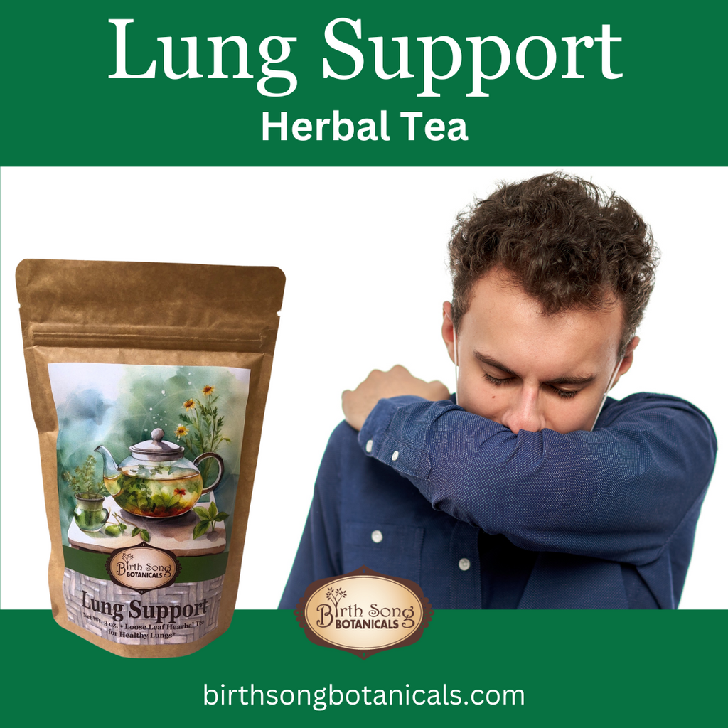 Herbal Lung Support Tea for Clear Lungs 3 oz.– Birth Song Botanicals Co.