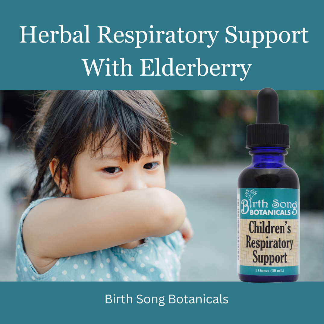 Children's Respiratory Support Herbal Tincture– Birth Song Botanicals Co.