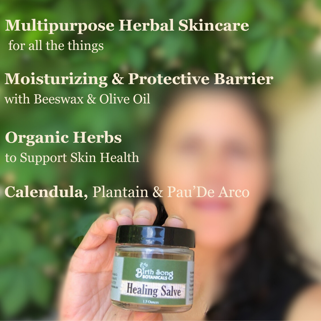 Healing Salve For Home First Aid with Calendula and Plantain– Birth ...