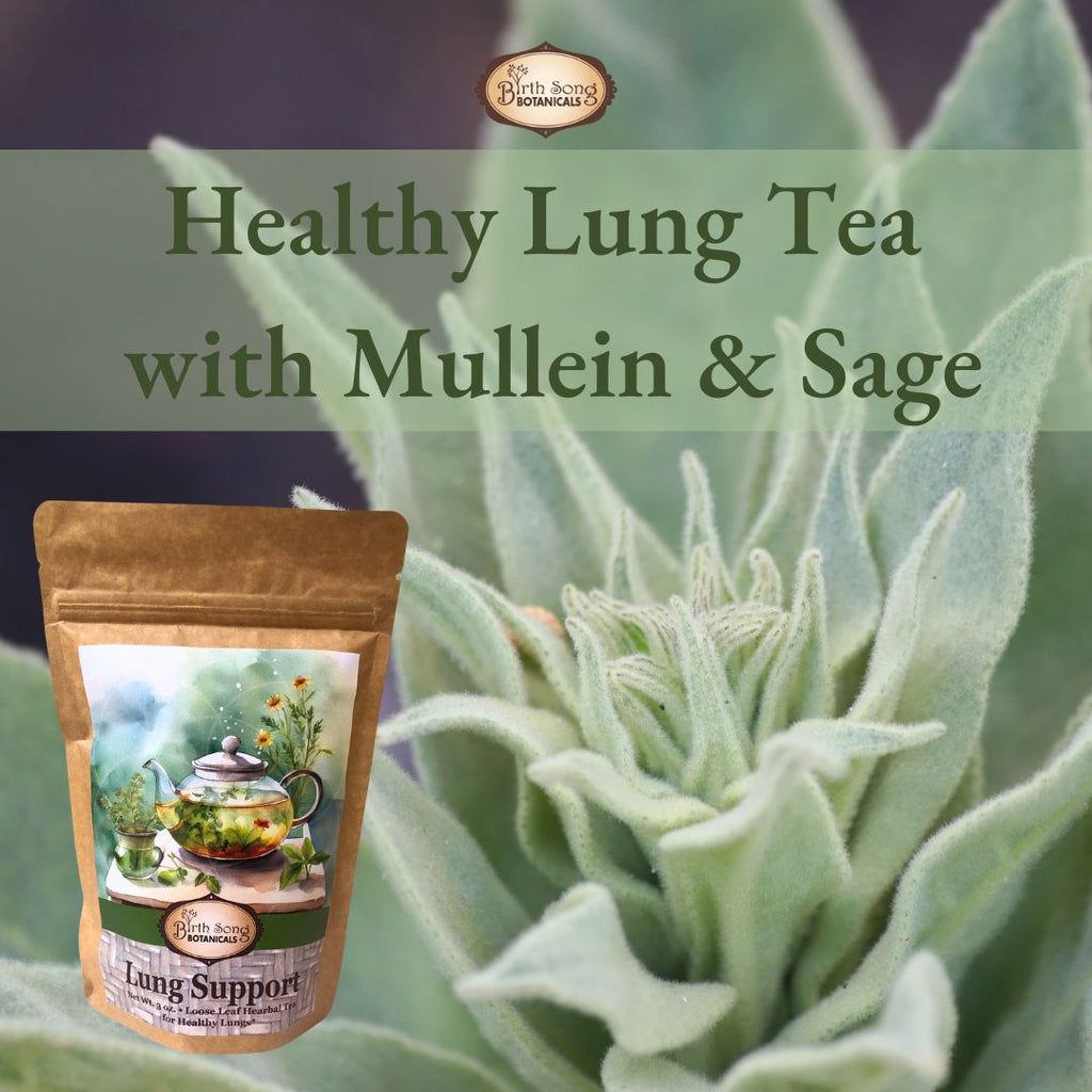 Herbal Lung Support Tea for Clear Lungs 3 oz.– Birth Song Botanicals Co.