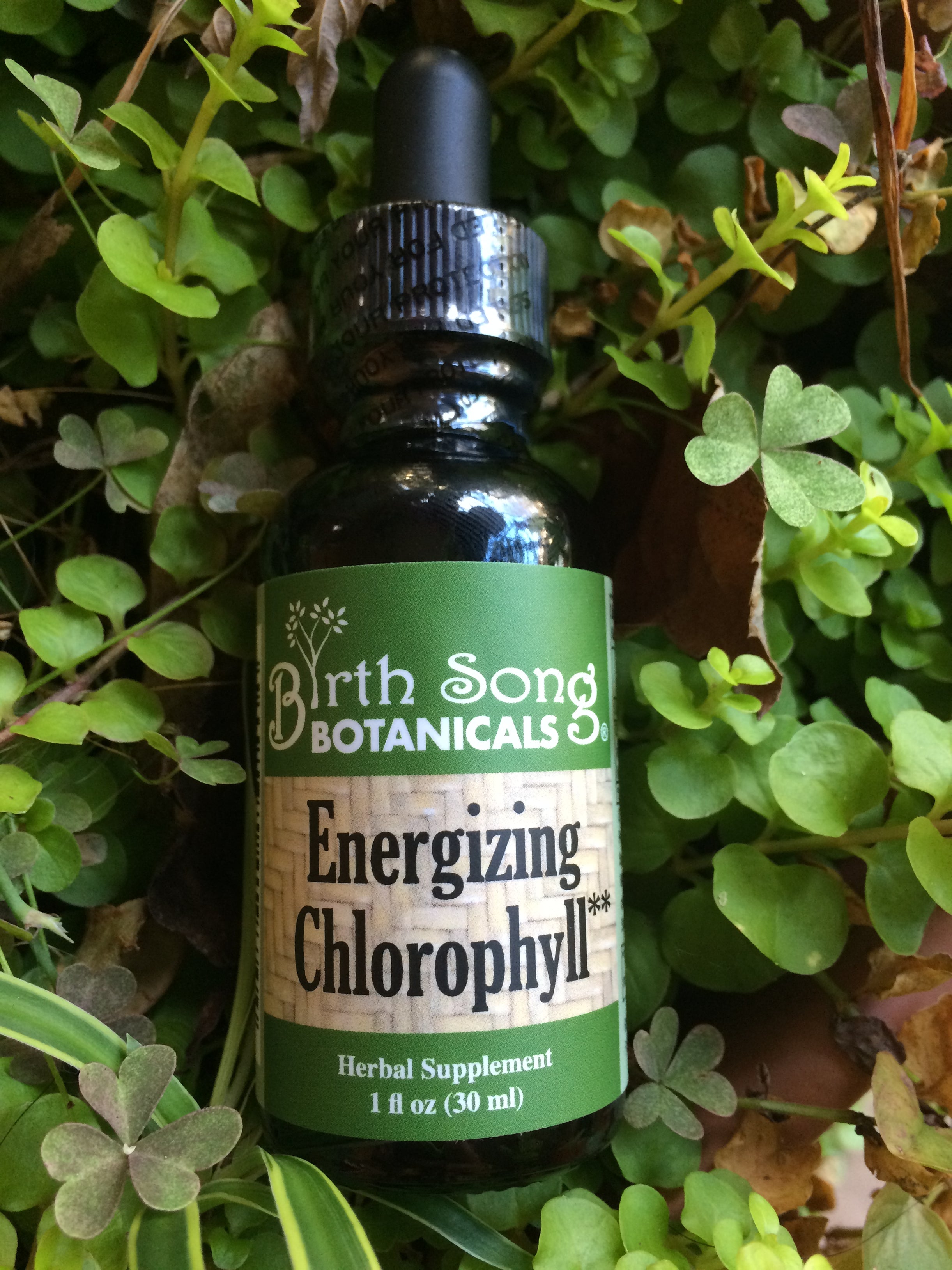Energizing Chlorophyll Liquid Drops with Peppermint 1 oz.– Birth Song ...